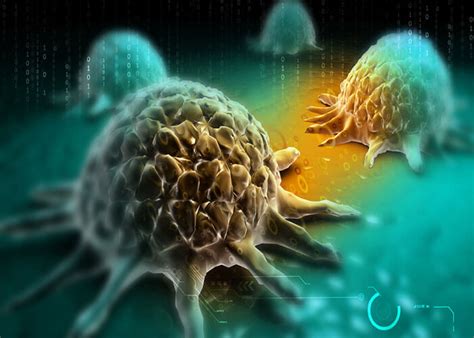 Symptoms Of Testicular Cancer