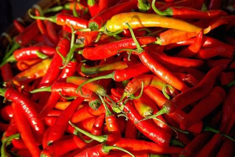 Whats A Good Thai Chili Pepper Substitute Pepperscale