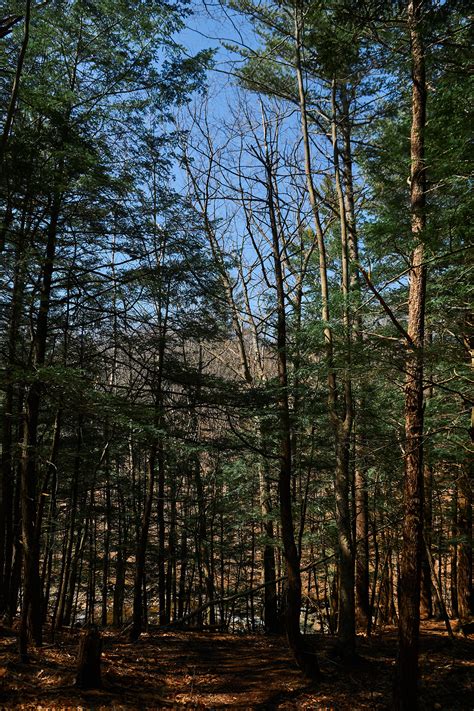 The Plotter Kill Preserve On Behance