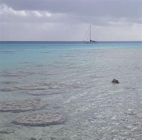 Makemo West The Trip