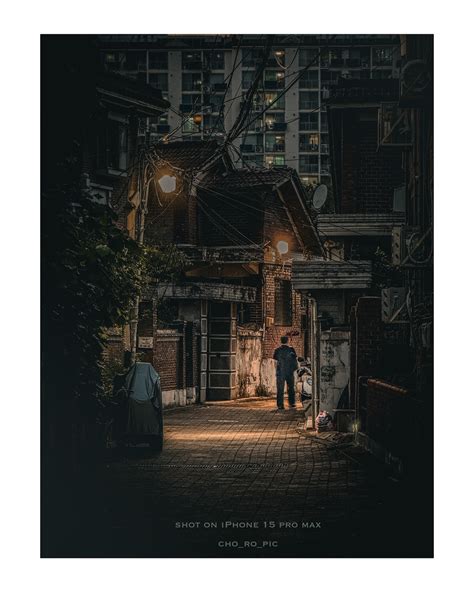 김철호 지난 겨울 눈이 많이 왔던 날 추위를 이기며 색을 잃지 않고 잘 견뎌 왔었던 꽃과 나무들 사진취미 사진소통환영 Tamron1770mm