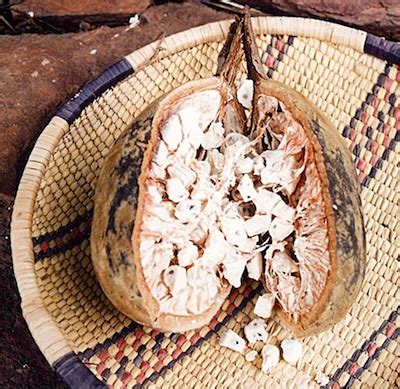 10 Ways To Eat The Baobab Superfruit