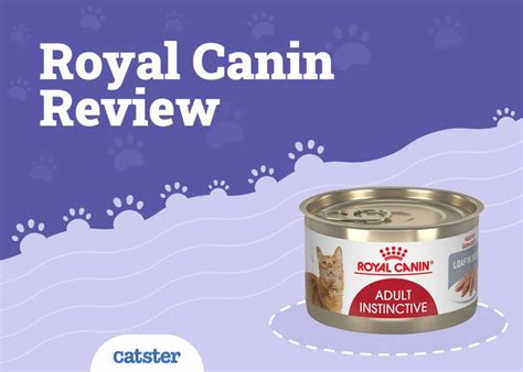Royal Canin Cat Food Review In 2026 Recalls Pros And Cons Catster