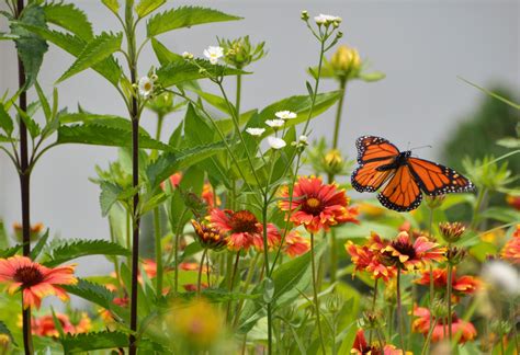 Frozen In Motion Frozen In Motion Photography