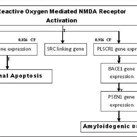 Role Of Proto Oncogene Tyrosine Protein Kinase Protein Src Ec Download Scientific Diagram
