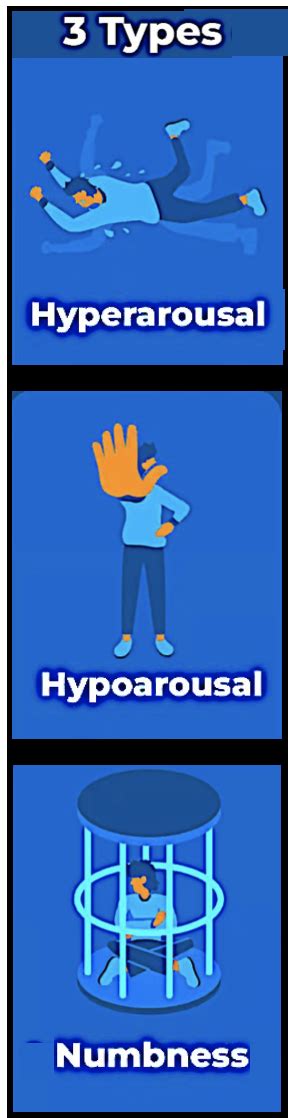 Self Regulation Emotional Dysregulation √ Heal And Grow For Acoas