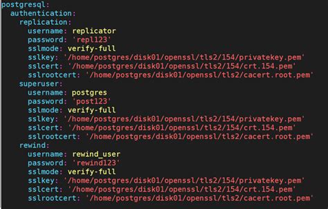 etcd patroni postgresql使用ssl、tls、 patroni etcd csdn博客