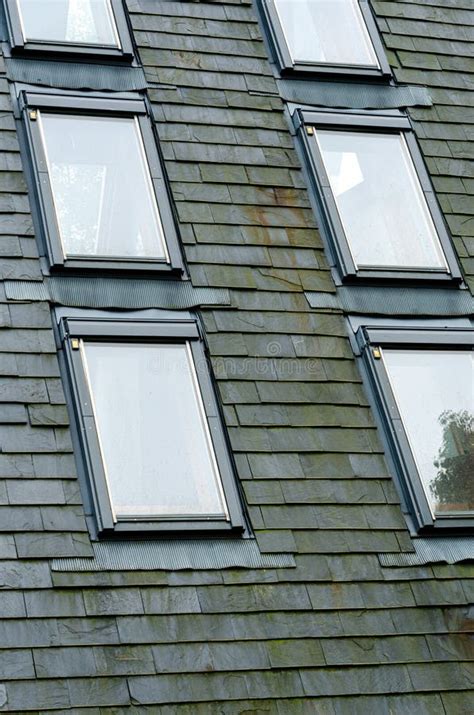 Sloped Slate Roof With Vertical Rows Of Recessed Rectangular Roof