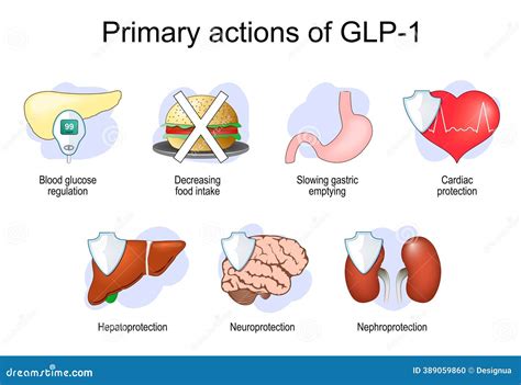 Glucagon Like Peptide 1 Glp 1 Molecule Chemical Structure Glp 1 Is Being Investigated For The