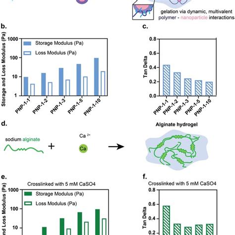 Schematic Of Injectable Hydrogel Depot Formation And Persistence A