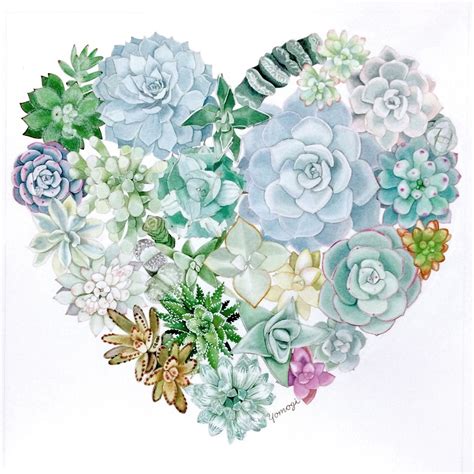 Botanical Art: Photo