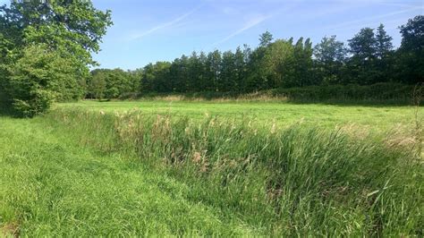 Carte Michelin Putte Viamichelin