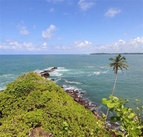 Malima Weligambay Villa Prices And Reviews Mirissa Sri Lanka