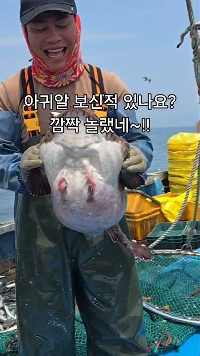 아귀도 알이 있다는것 아시나요 그런데 Youtube