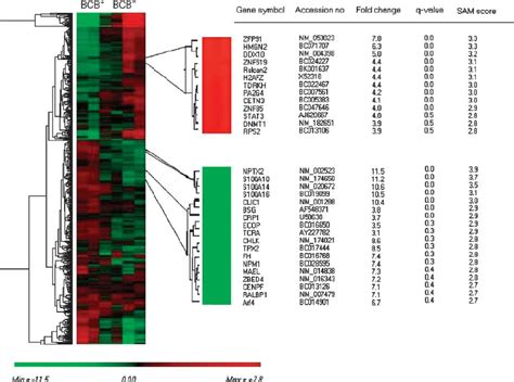 hierarchical clustering and heatmap of differentially expressed genes