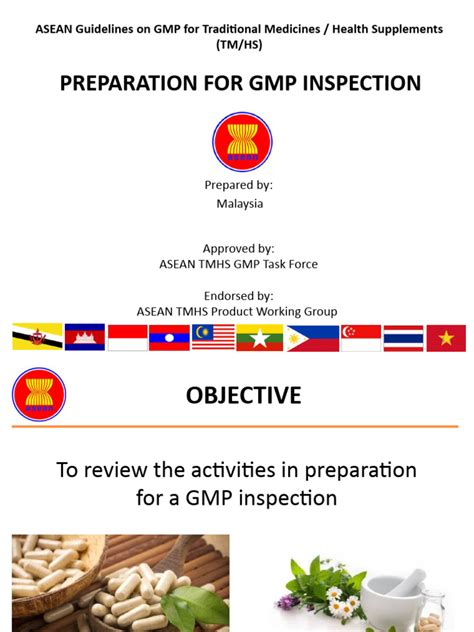 Preparation For Gmp Inspection Pdf Business Quality