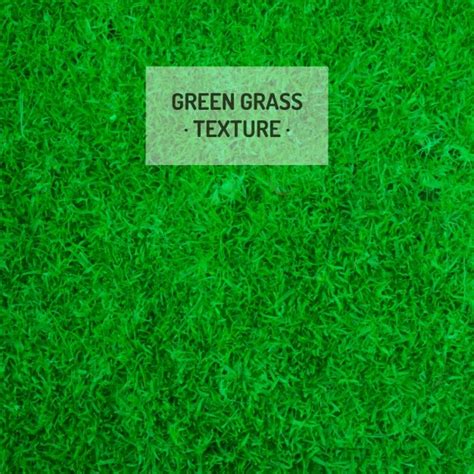 Grass Blade Texture