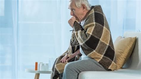 Latest From Eva De Jong Nz Herald