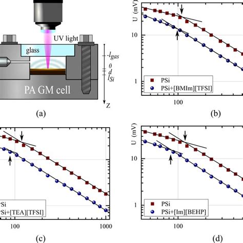 Scheme 2 Synthesis Of Protic Ionic Liquid [tea][tfsi] Download Scientific Diagram