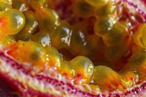 Detailed Photo Of Fresh Passion Fruit Seeds Premium Ai Generated Image