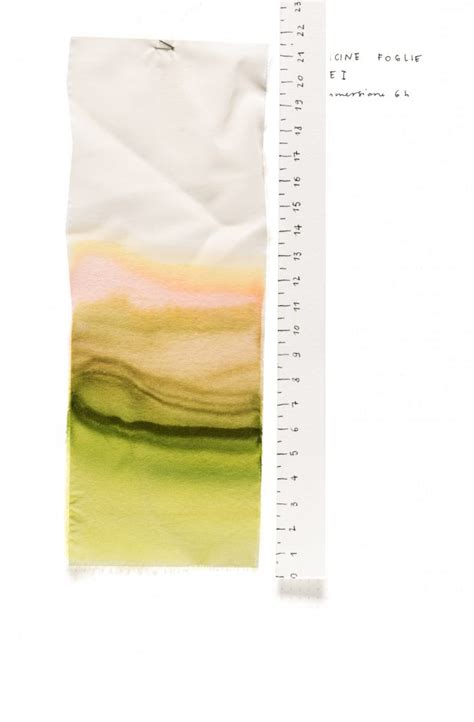 About The Project Grass Map Project