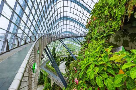 싱가포르의 즐길거리 싱가포르 여행 가이드 Go Guides