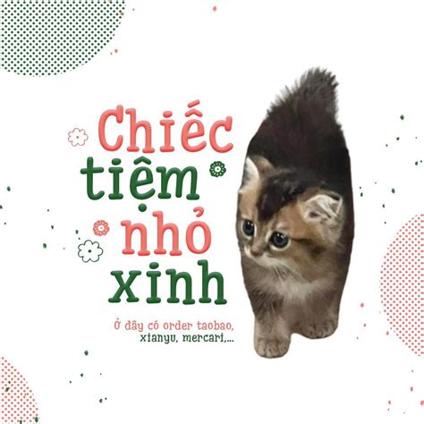 Chiếc Tiệm Nhỏ Xinh Hanoi