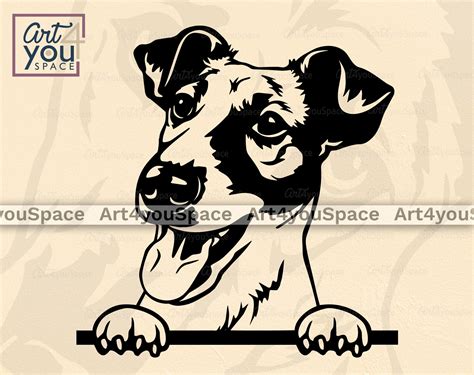 Smooth Fox Terrier Svg Png Dxfcricut Face Clipart Vector Graphics