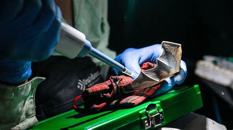 Into The Dark Exploring The Hidden World Of Bat Migration