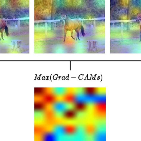 Pipeline For Generating The Attribute Attention Map Aam For An
