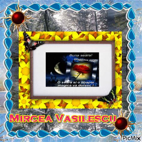 Mircea Vasilescu Free Animated  Picmix