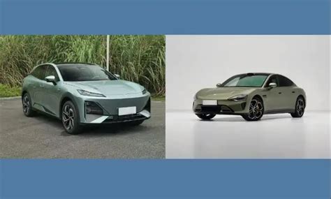 Which Is The Best Choice In Brazil Phev Or Pev