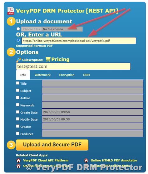 Step By Step Guide How To Use Verypdf Drm Protector Online Application To Secure And Protect