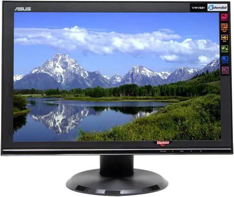 Asus 19 Wxga Lcd Monitor 5 Ms D Sub Dvi D Vw192t