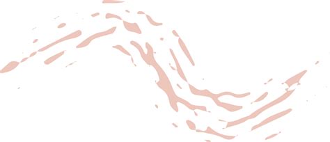 Meet Bub Lil Bubs Big Fund