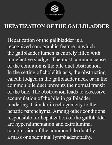 Ultrasound Town Hepatization Of The Gallbladder