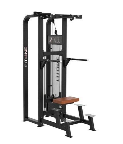 Fitline Flex Assisted Dip Chin Weight Lifting Equipment At ₹ 96209