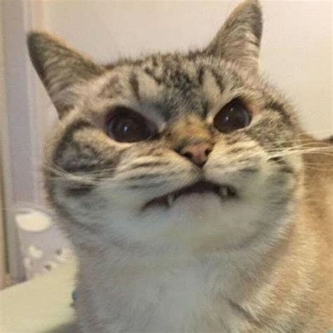 关于github Action自动编译leanopenwrt的配置修改问题 知乎 关于github Action自动编译leanopenwrt的配置修改问题 知乎