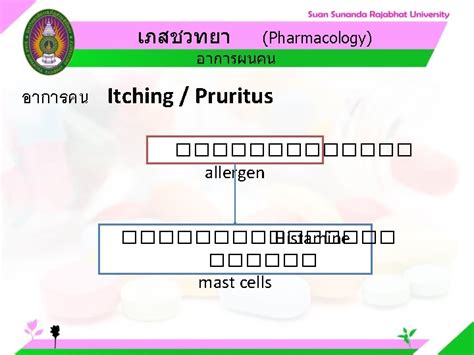 Pharmacology Histamine Histidine Histamine Release Histamine Synthesis