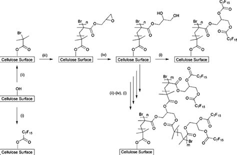 Synthetic Route Of The Modification Of Cellulose Reaction Conditions
