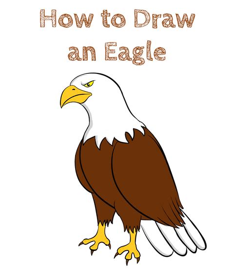 How To Draw Simple Eagle Drawing