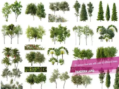 Av 20 Unique Tree Sets With Over 50 Different Trees 3d Model Pack Cgtrader
