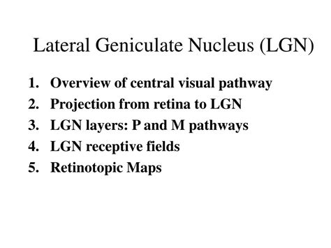 Function Of Lateral Geniculate Nucleus