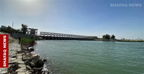 الورار يجلب اليأس لنفوس الصيادين الكهرباء تقتل الأسماك وتستثني الشانك صور شفق نيوز