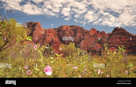 Bee Hive Formations At The Bungle Bungles In Western Australia Stock