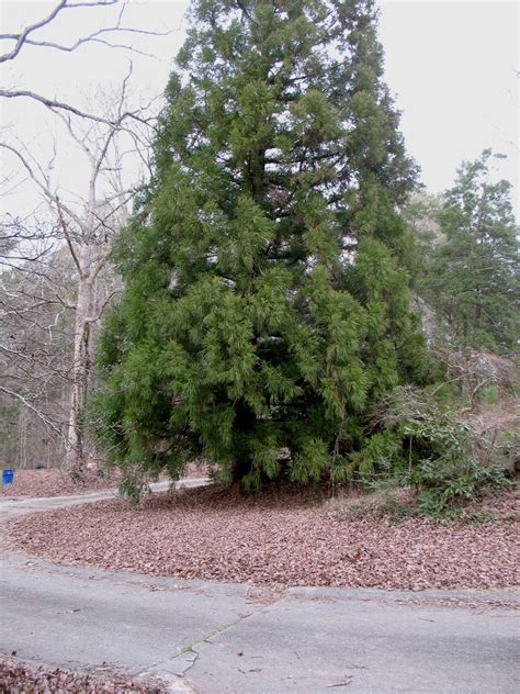 Development Vs Environment Furious Dreams Art Blog By Victoria Webb