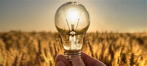 Ag Catalyst 2024 Csiro Aquaculture