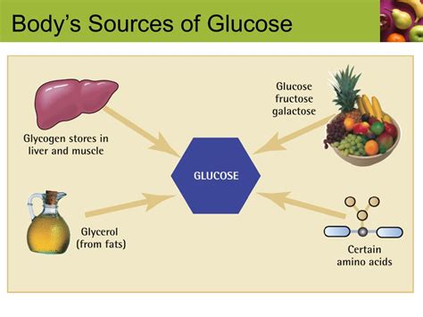 Glucose Definition Nutrition At Stephen Jolly Blog
