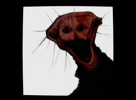 Best 11 Phen 228 The Boiled One Phenomenon Uploaded This Because Its Not Much Popular In