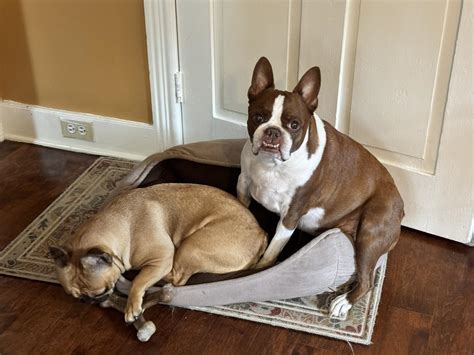 Sexy Leg Sunday I Was Posing Gabbygirl Princess Willow Facebook